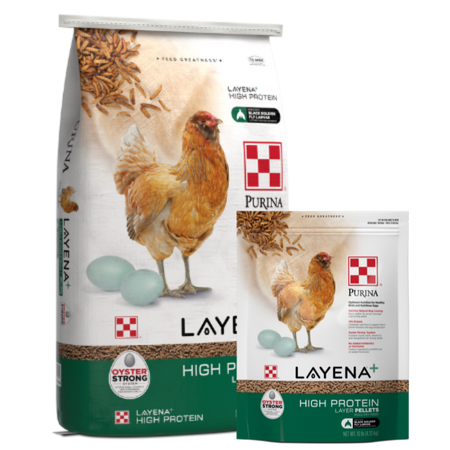 Purina Layena+ High Protein Layer Pellets - Bear Creek Country Store