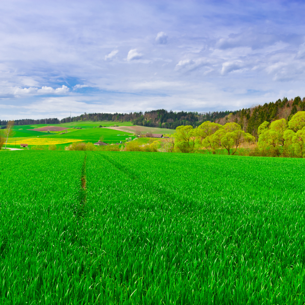 Planning Spring Pasture Management - Bear Creek Country Store